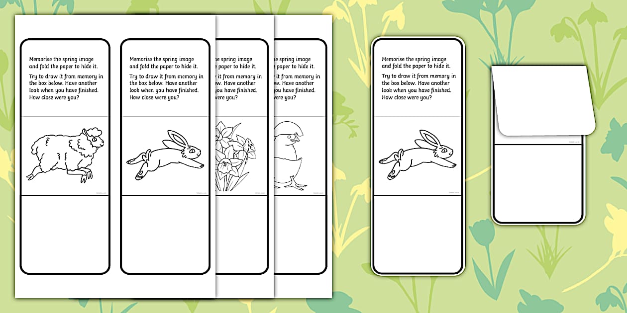 Spring Draw from Memory Activity (Teacher-Made) - Twinkl