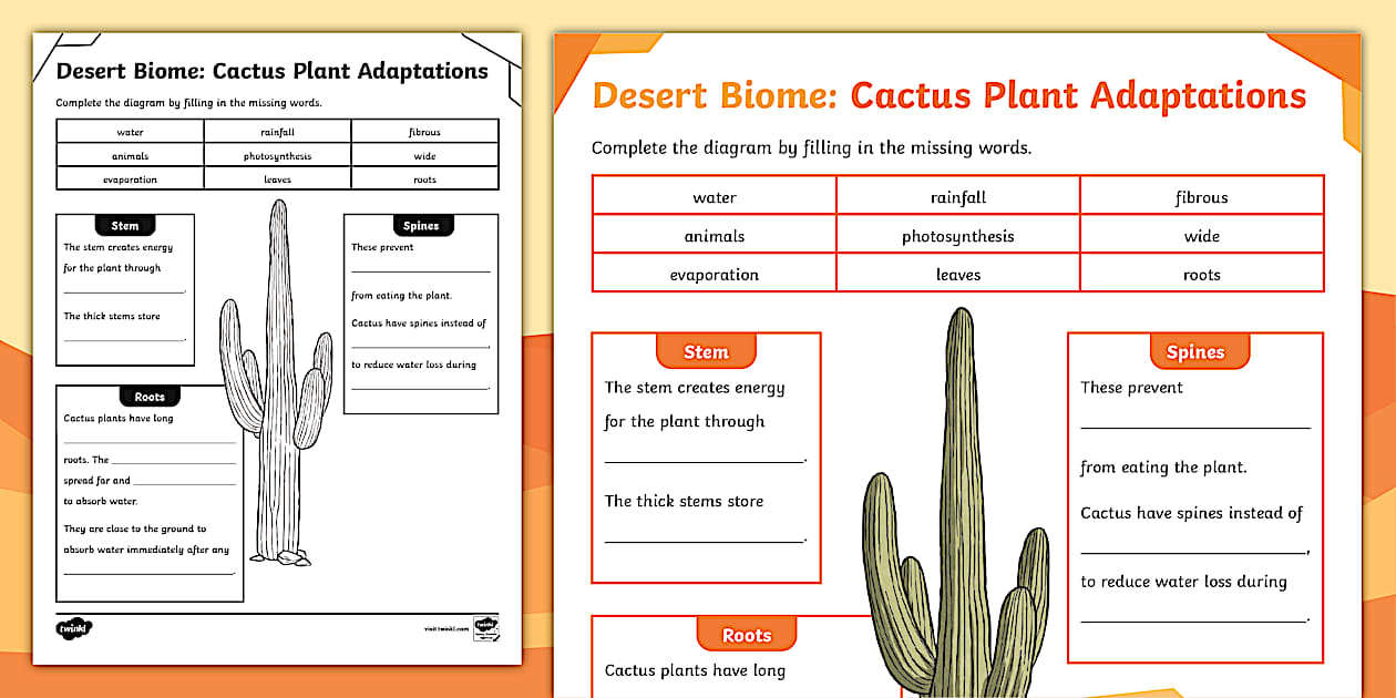 Desert Biome: Cactus Plant Adaptations Worksheet - Twinkl