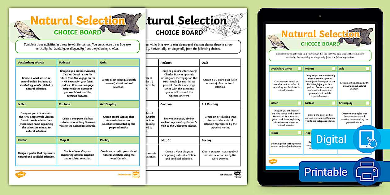 Natural Selection Choice Board for 6th-8th Grade - Twinkl