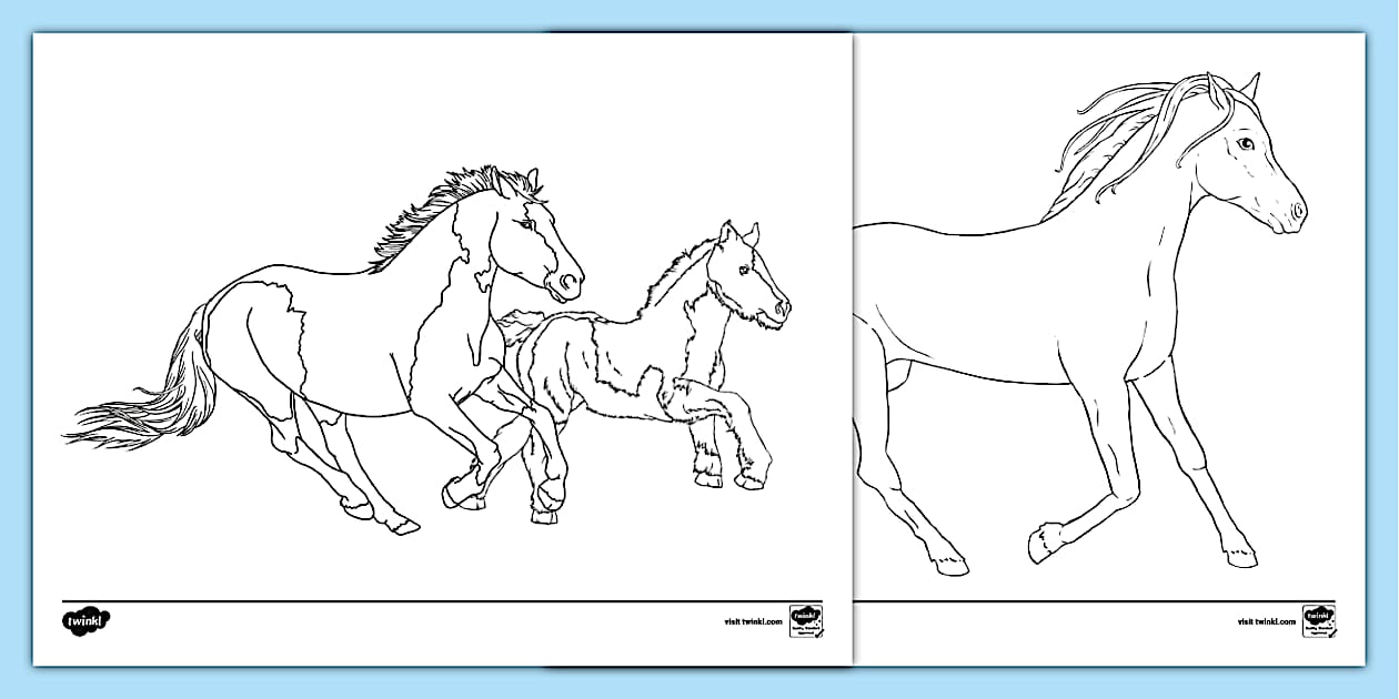 Horse and Pony Coloring Sheets (teacher made) - Twinkl