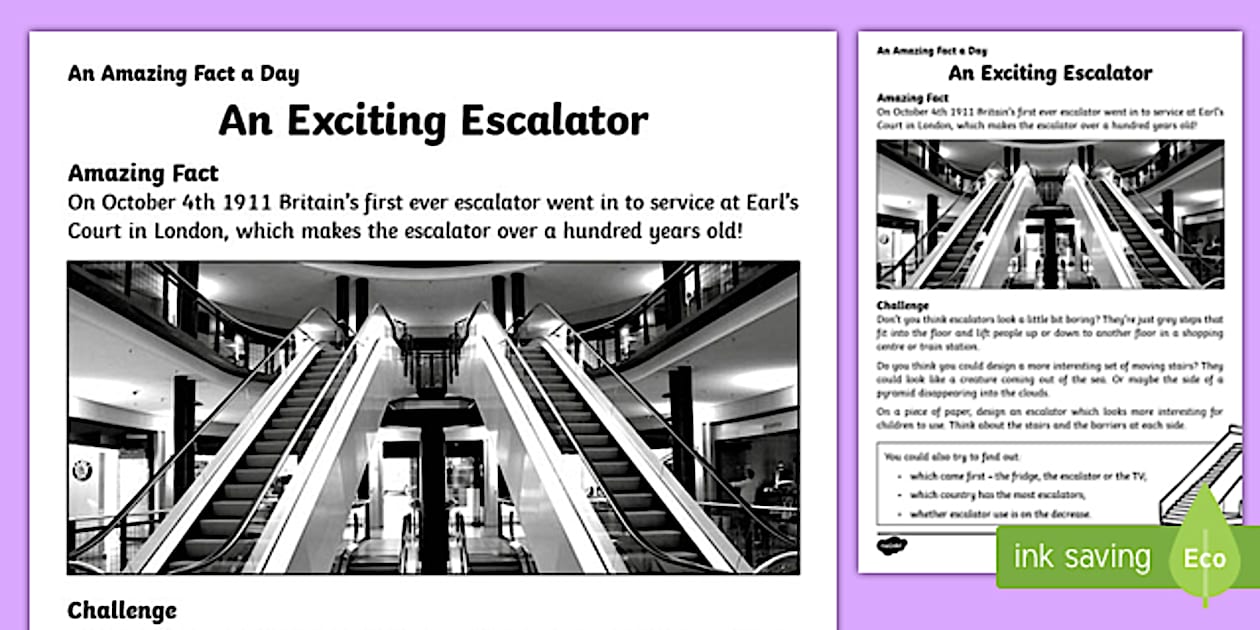 An Exciting Escalator Worksheet / Worksheet, worksheet