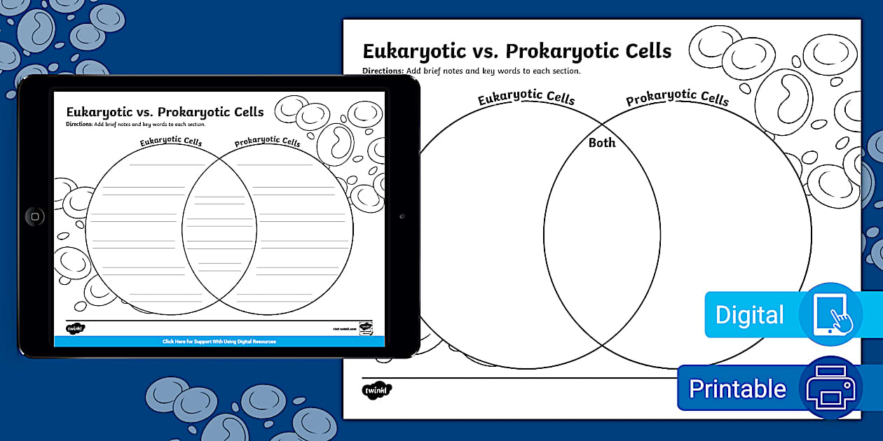 Prokaryotic vs. Eukaryotic Cells Compare and Contrast