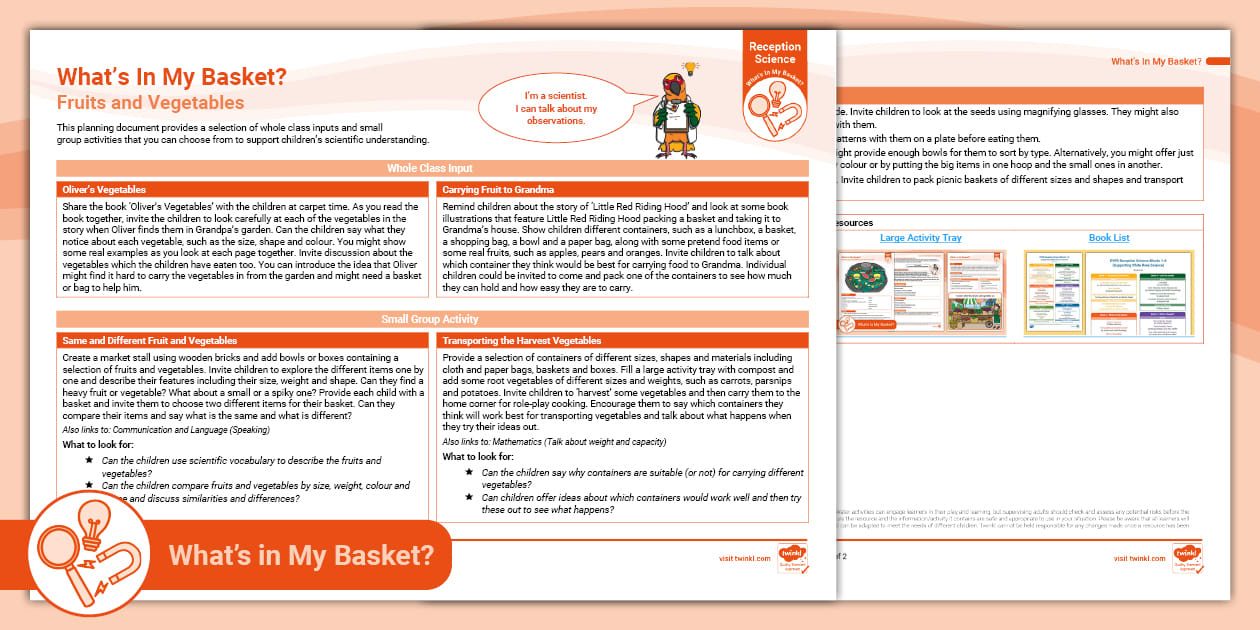 EYFS: What's In My Basket? (Supporting White Rose Science)