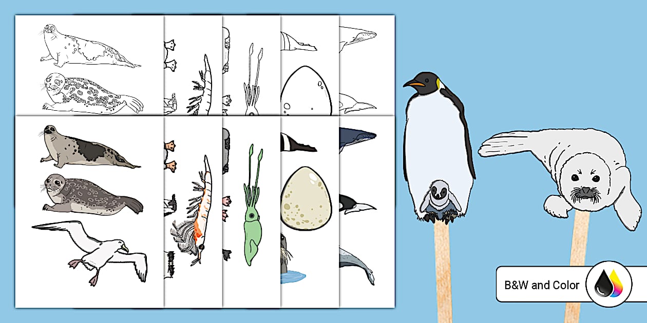 Antarctic Animals Stick Puppets (Teacher-Made) - Twinkl