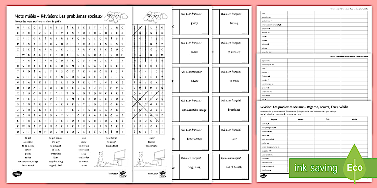 Social Issues Revision Worksheet / Worksheets French