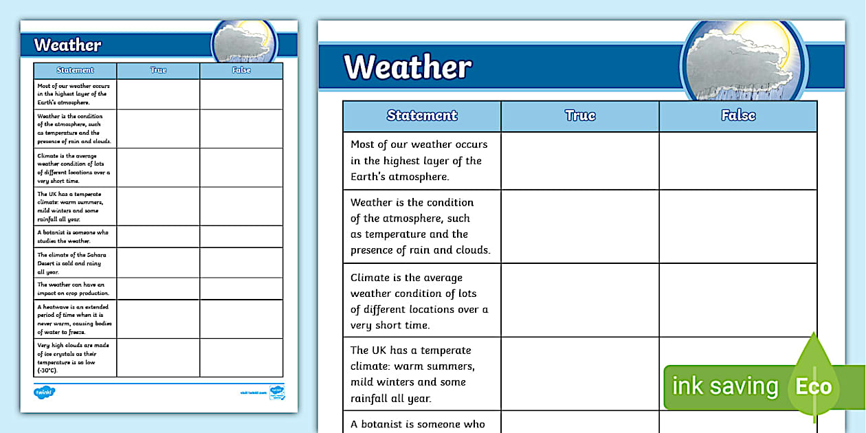 Weather True or False Activity (teacher made) - Twinkl