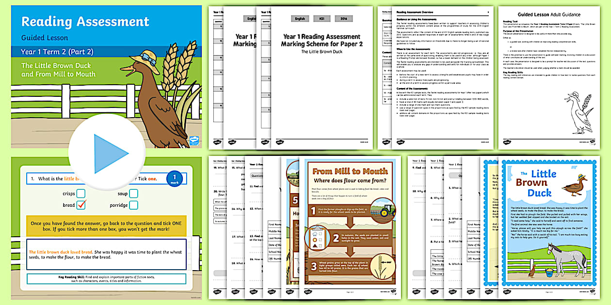 Year 1 Term 2 Paper 2 Reading Assessment Guided Lesson Teaching Pack