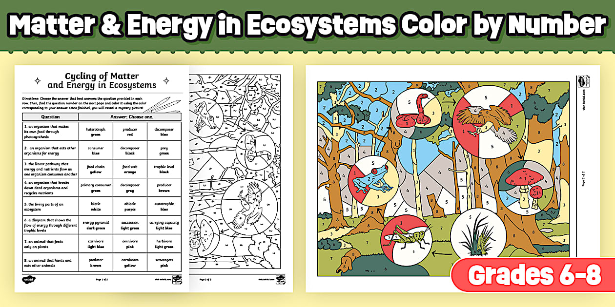 Matter and Energy in Ecosystems Color by Number Worksheet