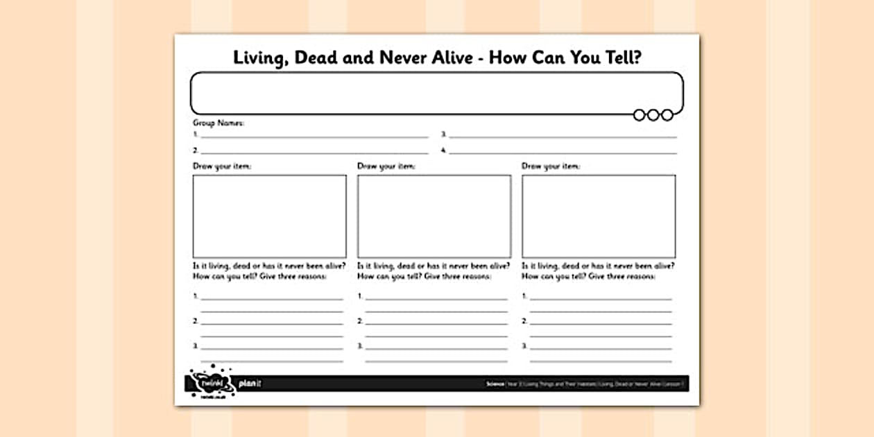 Living, Dead or Never Alive? Worksheet / Worksheet - Twinkl