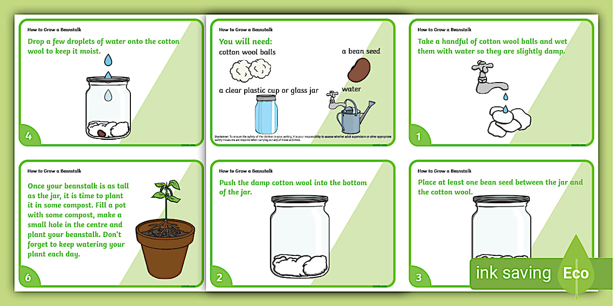 How to Grow a Beanstalk Instruction Cards (teacher made)