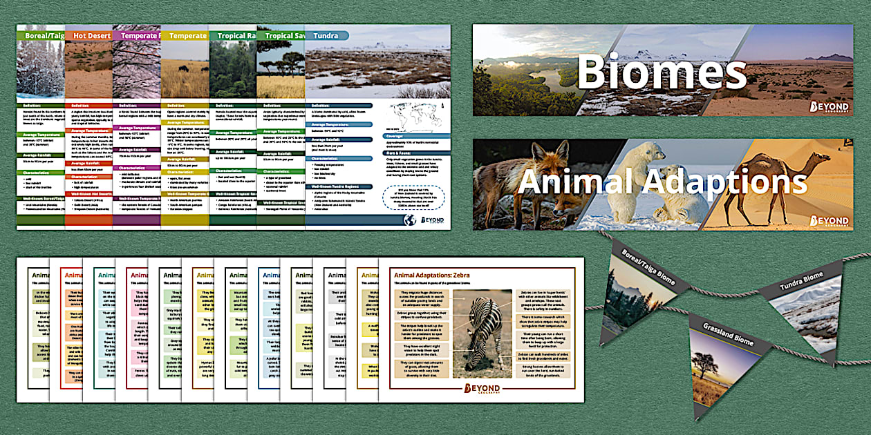 Biomes and Animal Adaptations Display Pack | Beyond - Twinkl