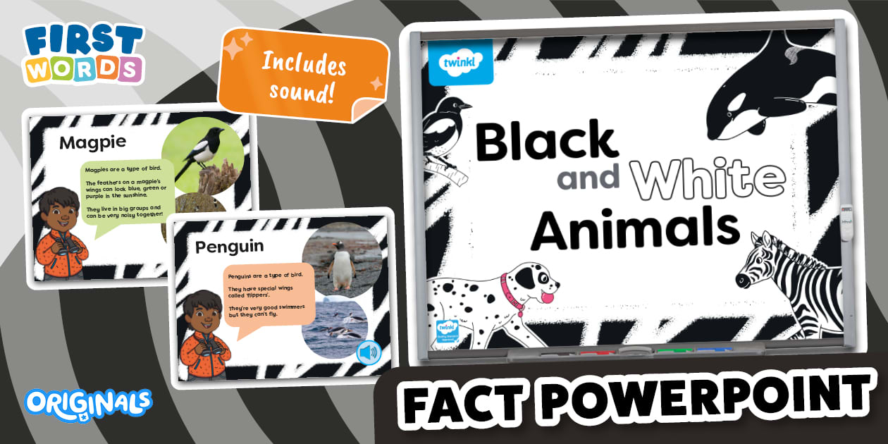 EYFS Black and White Animals Fact PowerPoint with Photos