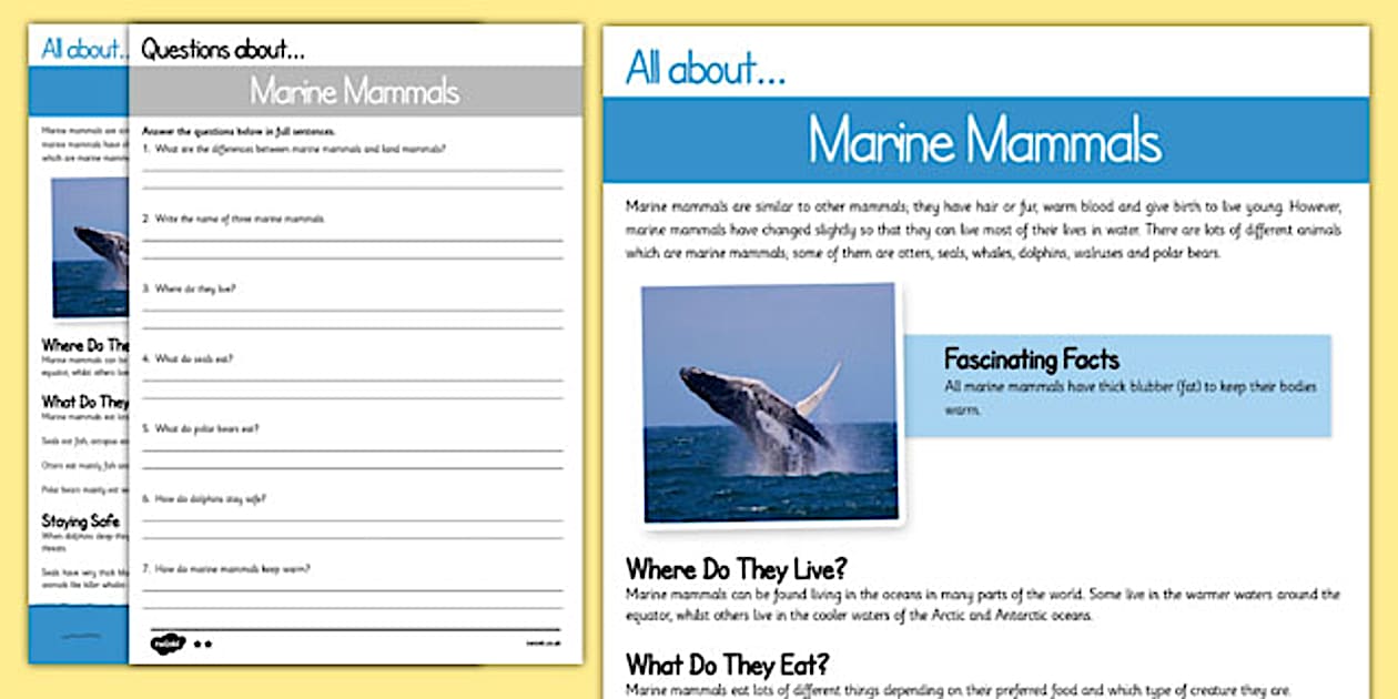 Ocean Animals Reading Comprehension Worksheets | KS1 English