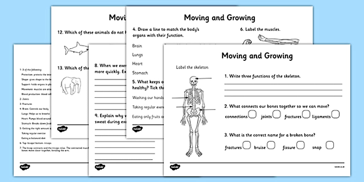 Moving and Growing Worksheet (teacher made) - Twinkl
