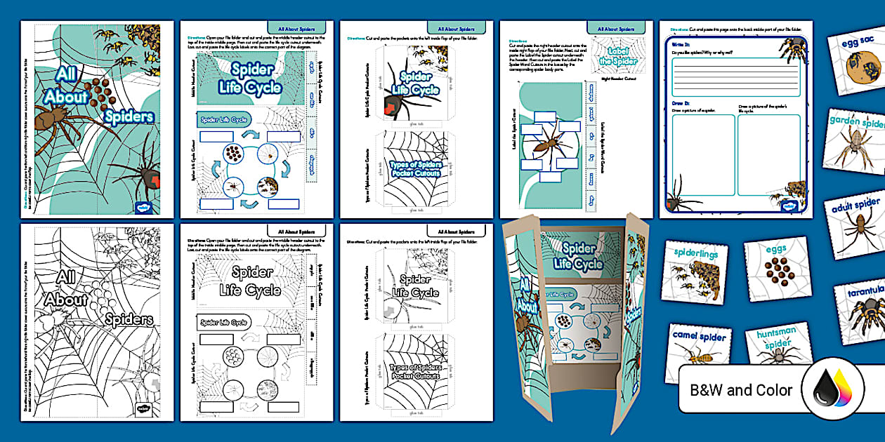Kindergarten All About Spiders Trifold File Folder Activity Worksheet