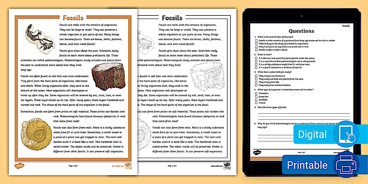 Third Grade Fossil Comprehension Worksheet | Twinkl USA