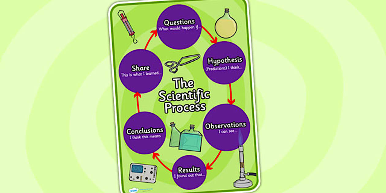 Scientific Process Display Poster - Twinkl