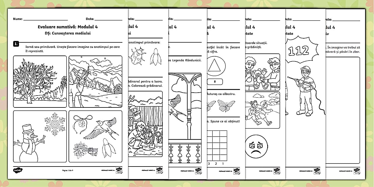 Evaluare sumativă grupa mijlocie: Modulul 4 – Fișe