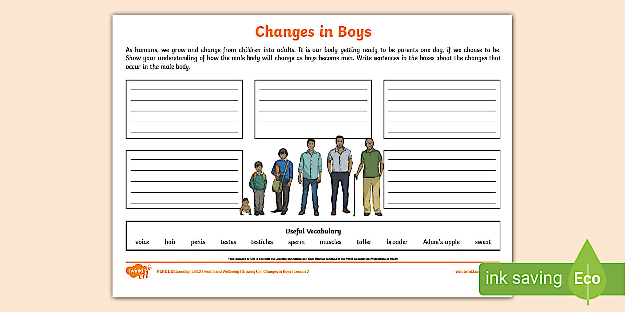 RSHE Puberty Changes in Boys Activity (teacher made)