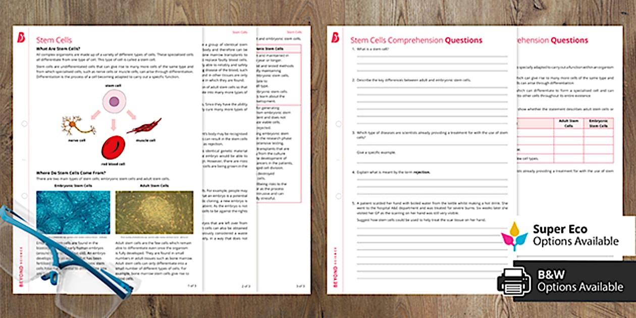 * NEW * AQA Stem Cells Reading Comprehension | GCSE Biology | Beyond