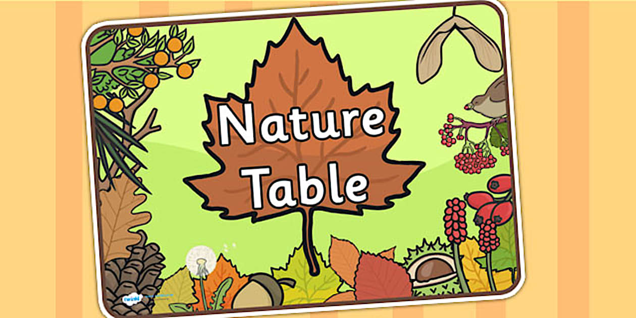 Nature Table Sign (teacher made) - Twinkl