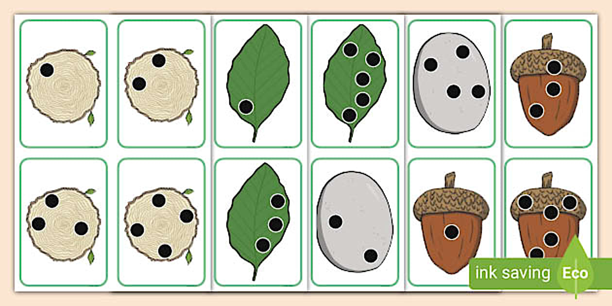 👉 Natural-Themed Subitising Dot Cards - Twinkl