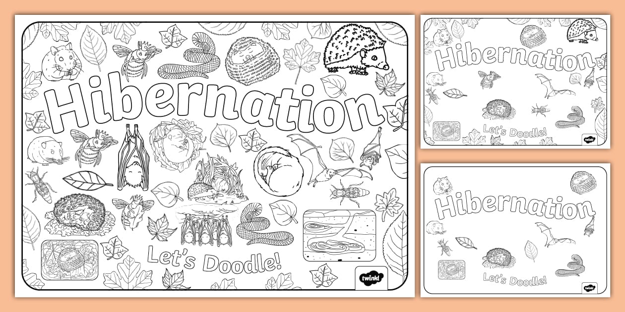 Hibernation Doodle Colouring Pages - Twinkl - KS1 - Twinkl