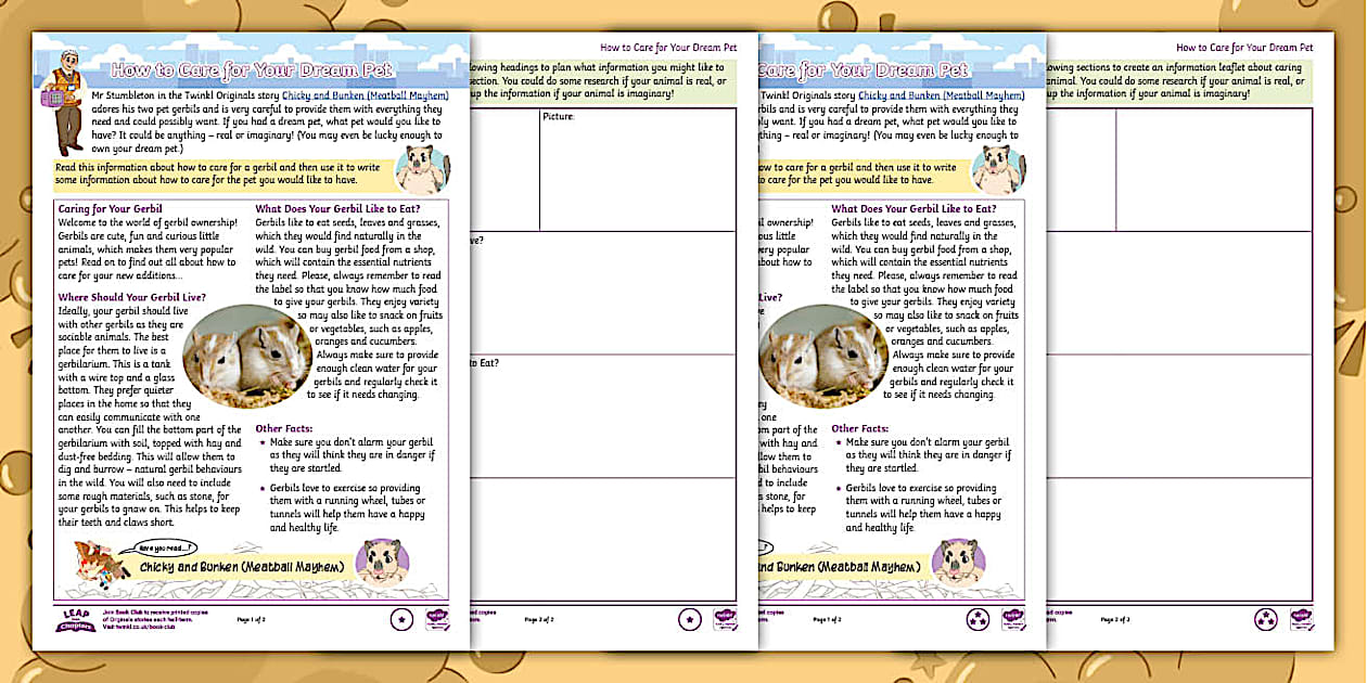 How to Care for Your Dream Pet Writing Activity - Twinkl