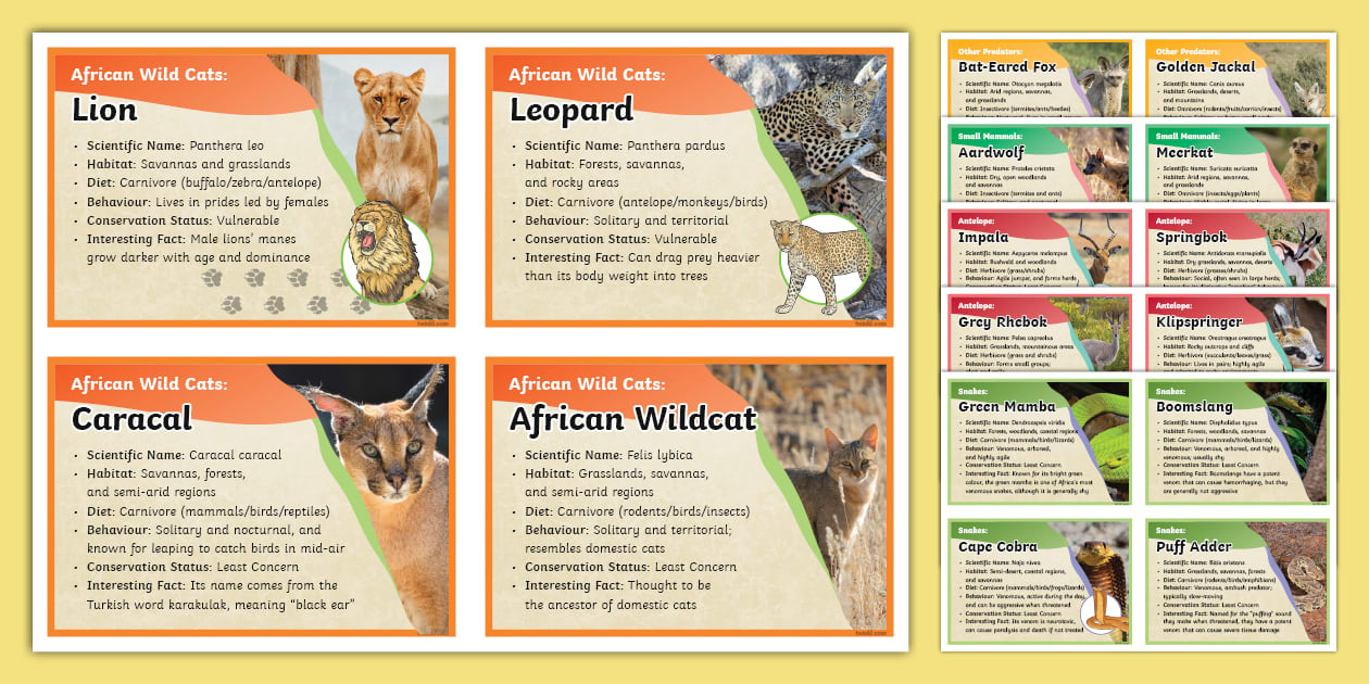 Variation in Wild Animal Species of South Africa - Twinkl