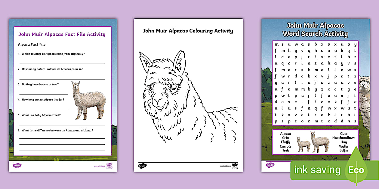 John Muir Alpacas Activity Pack | Twinkl