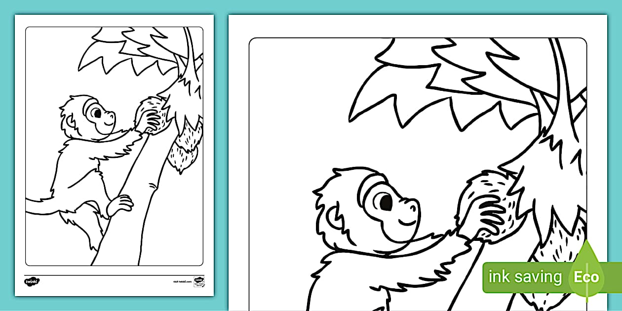 Monkey in a Tree Colouring Page (teacher made) - Twinkl