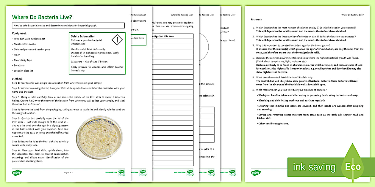 Editable Where Do Bacteria Live? Investigation Instruction Sheet Print-Out