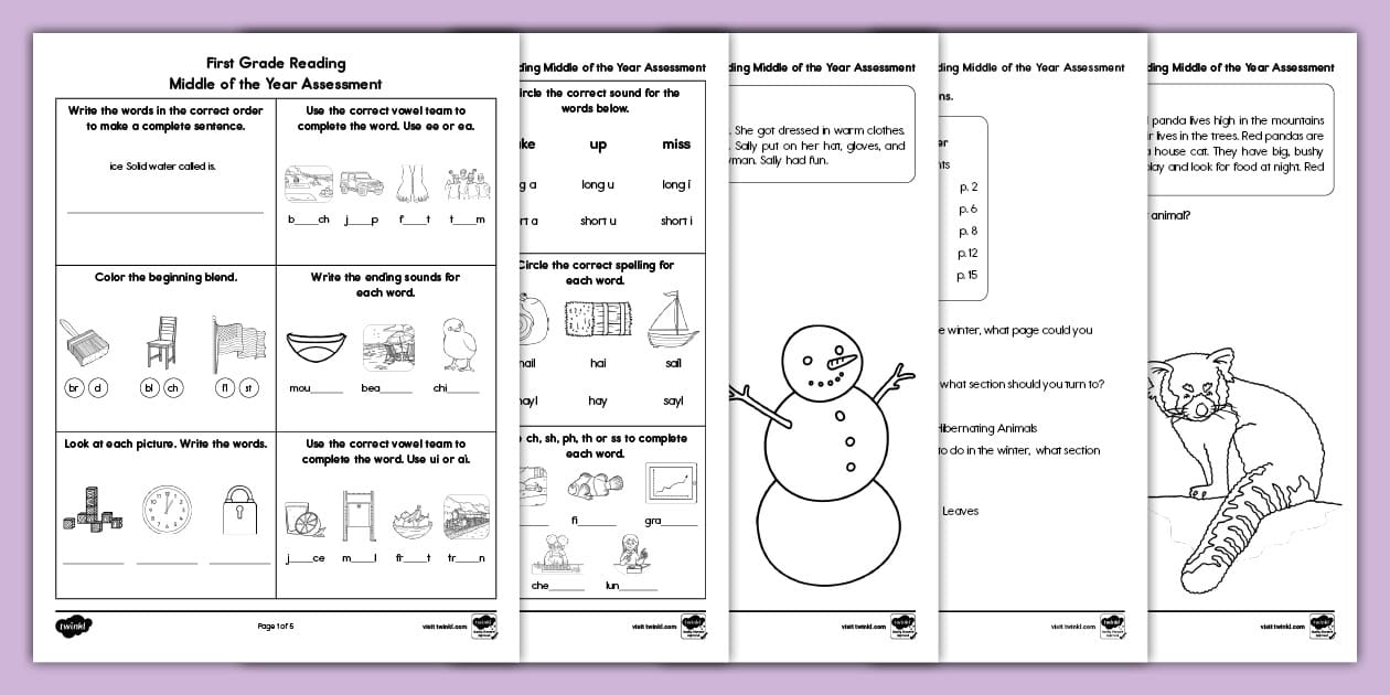 First Grade Middle of the Year Reading Assessment - Twinkl