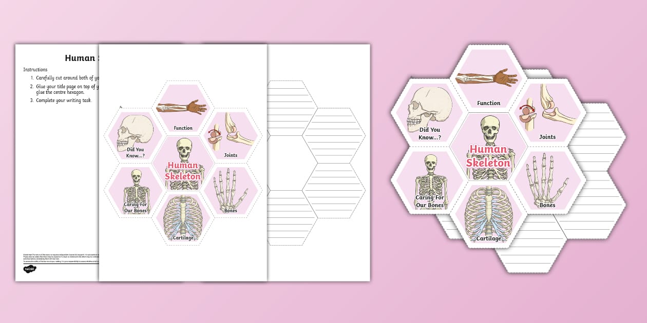Human Skeleton Hexagon Writing Template - Twinkl