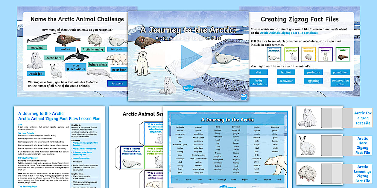 Non-chronological reports: Arctic Animal Fact File Lesson Pack