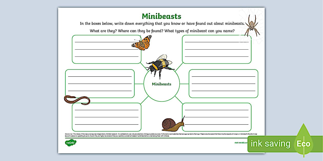 Minibeasts Mind Map (teacher made) - Twinkl