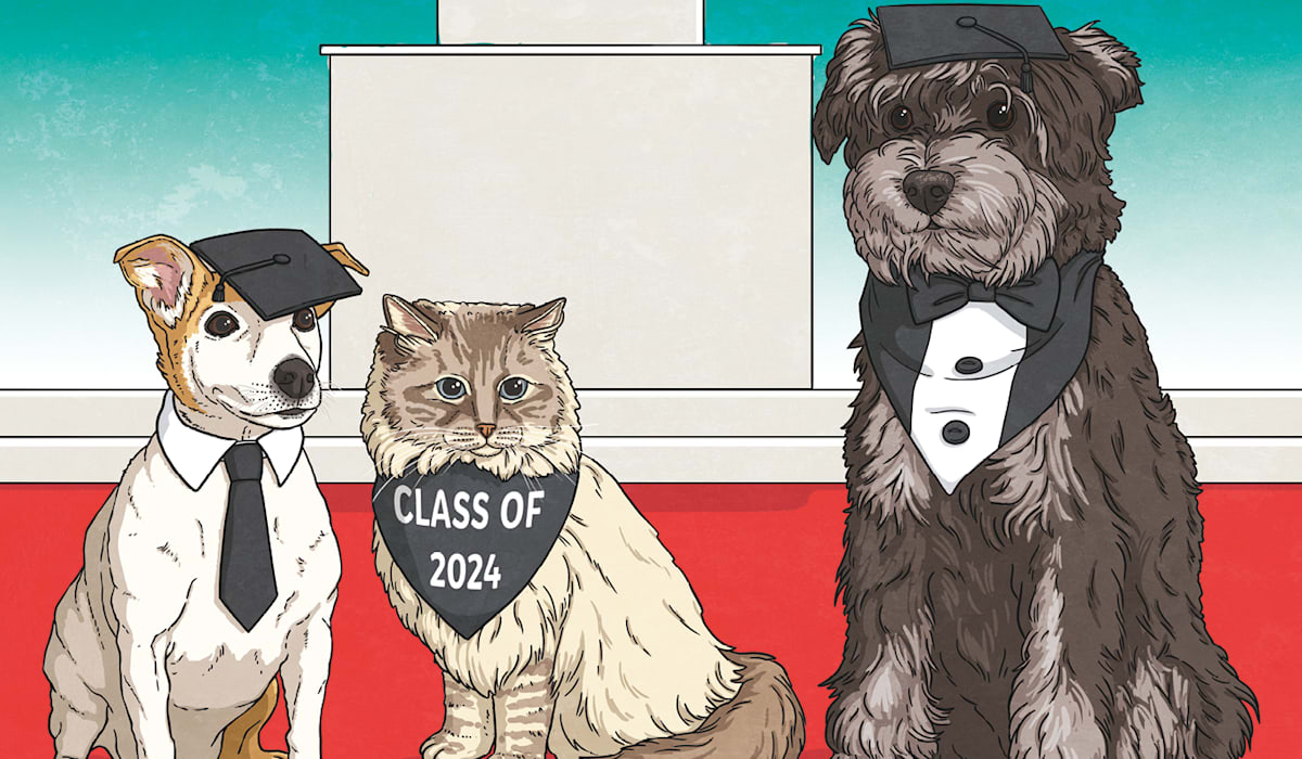 Pet Graduations Mark End of Academic Year - Twinkl NewsRoom