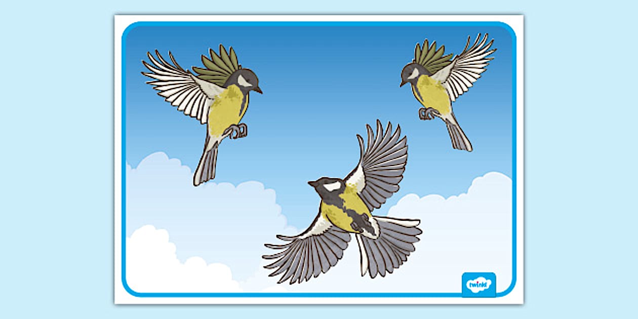 Poster of Flying Birds (teacher made) - Twinkl