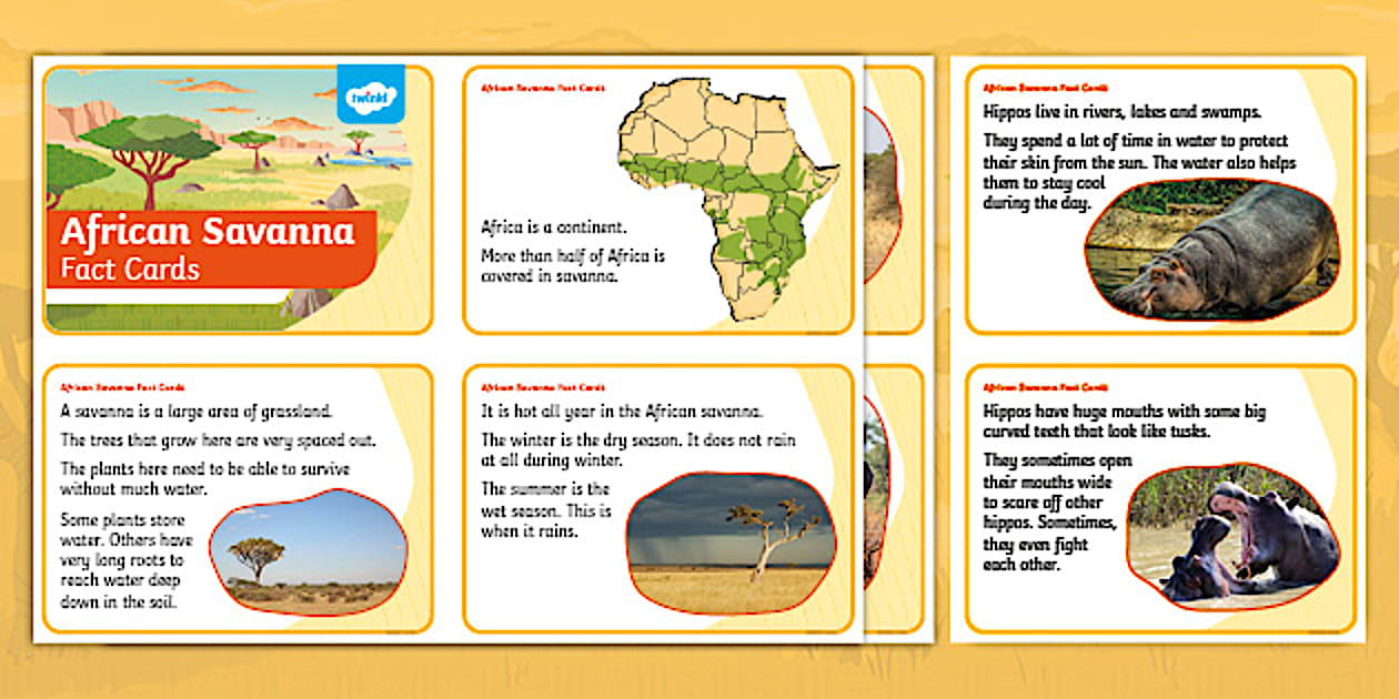 KS1 African Savanna Fact Cards (Teacher-Made) - Twinkl