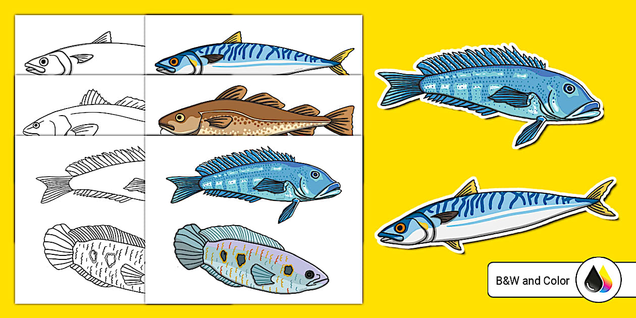 Large Fish Cutouts | World Oceans Day | Twinkl USA - Twinkl
