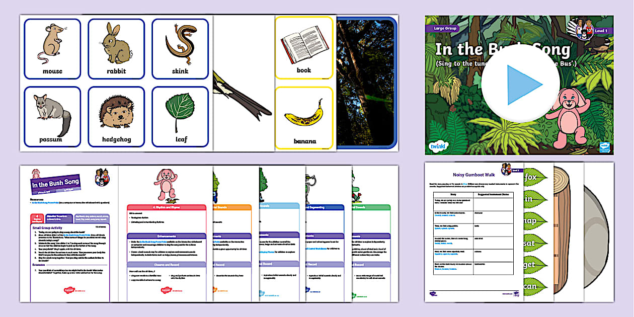 Level 1: Week 28: Weekly Lesson Pack: In the Bush - Twinkl