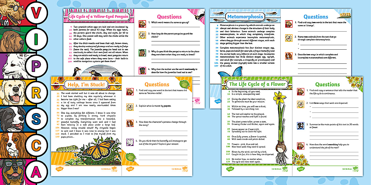 UKS2 60-Second Reads: Life Cycles Activity Pack - Twinkl