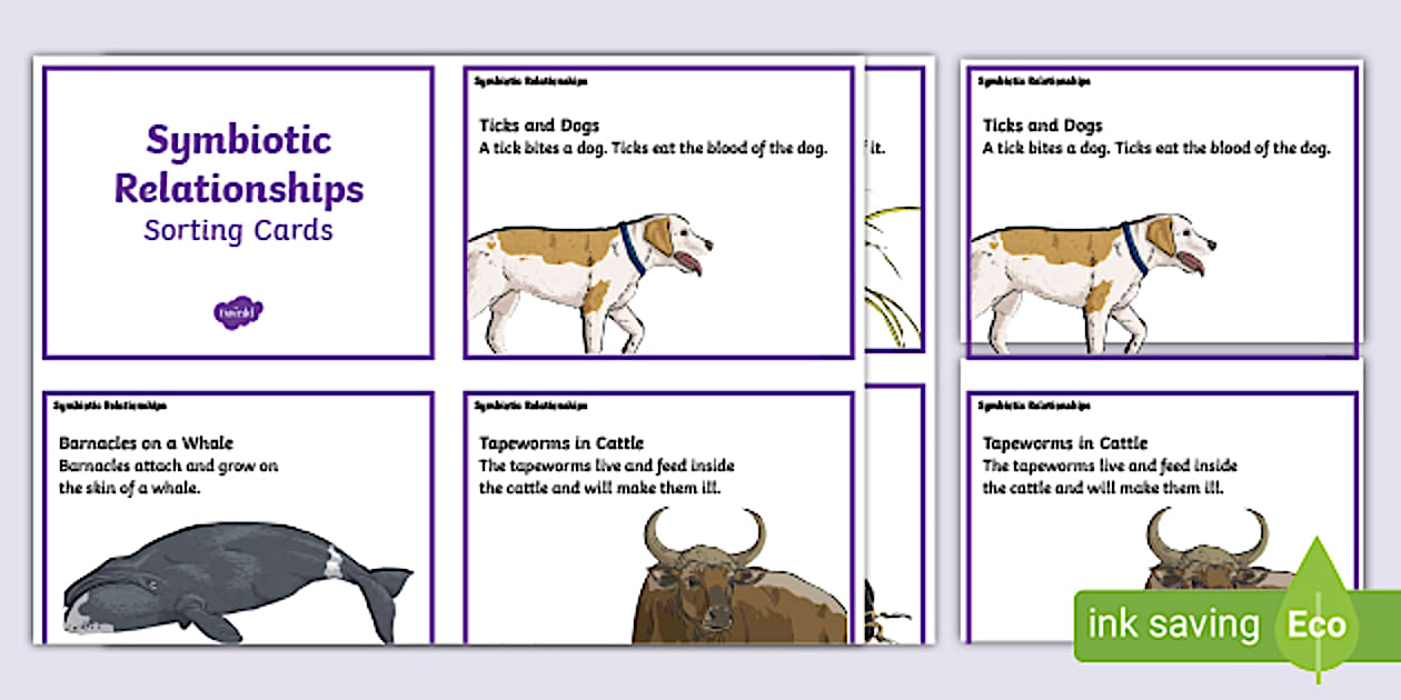 Symbiotic Relationships Sorting Cards (teacher made)