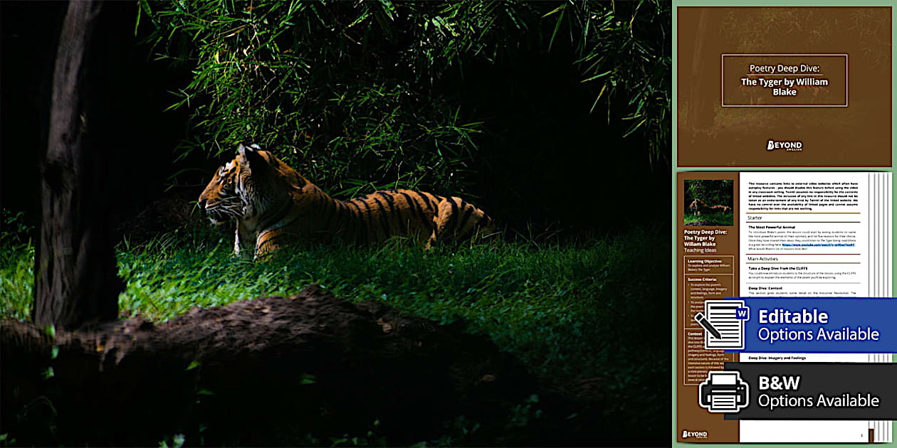 The Tyger Poem Analysis Lesson | KS3 Poetry | Beyond English
