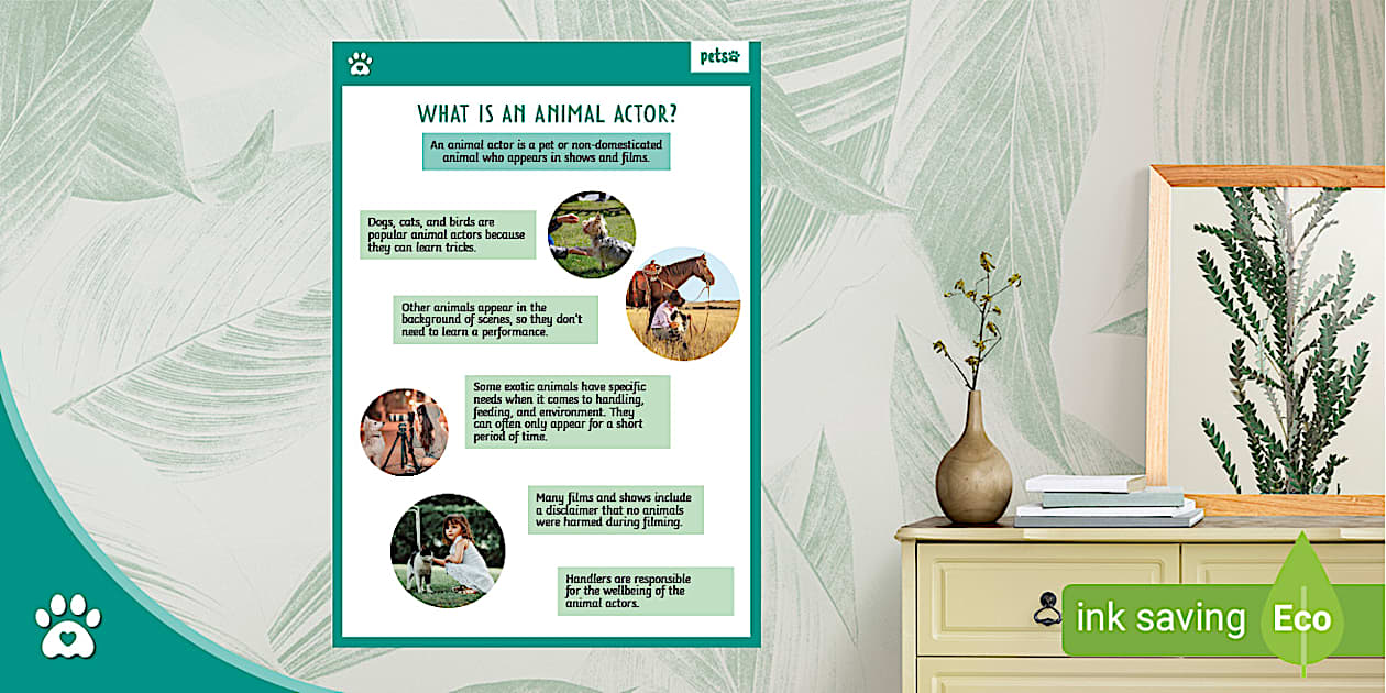 What Is An Animal Actor? Fact Sheet - Film Pet - Twinkl Pets