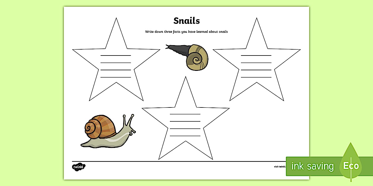 Editable Facts I Have Learned about Snails Activity - Twinkl