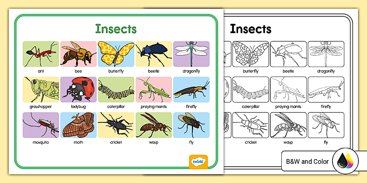 Insect Word Mat (teacher made) - Twinkl