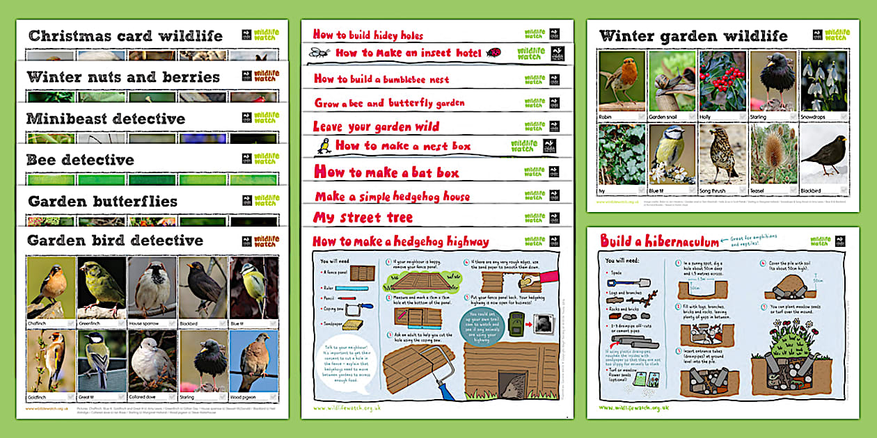 FREE! - Wildlife Trust Worksheets - Outdoor Fun (teacher-made)