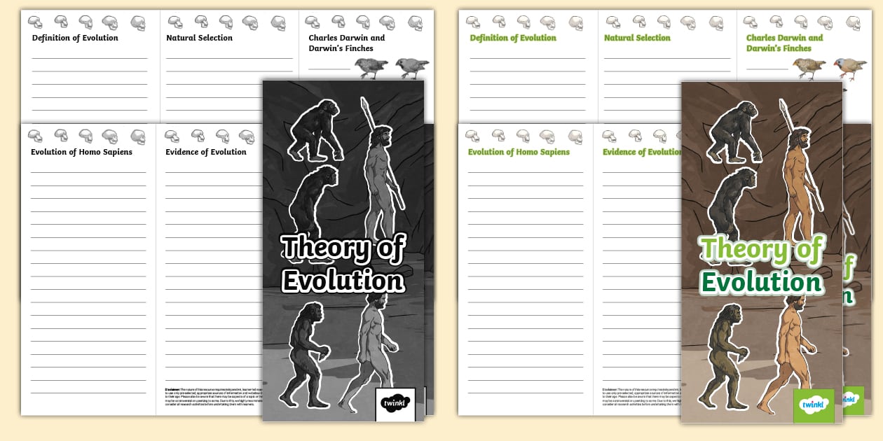 Theory of Evolution Leaflet Template (teacher made) - Twinkl