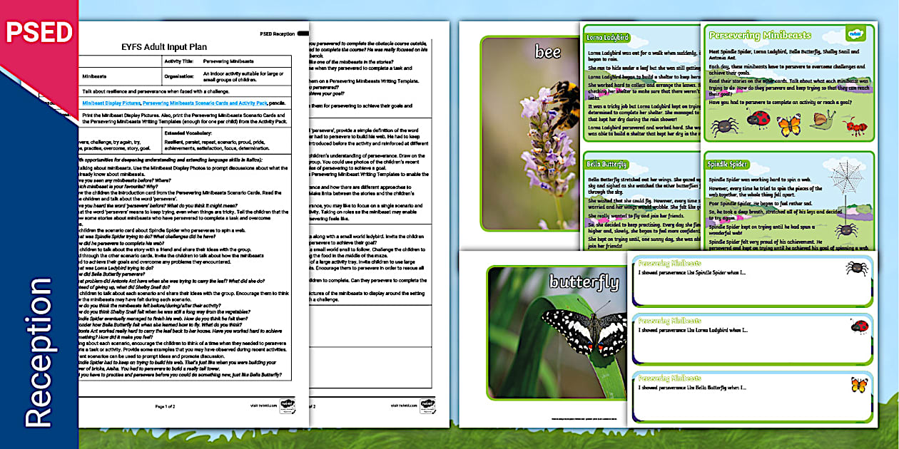 EYFS Persevering Minibeasts Adult Input Plan & Resource Pack